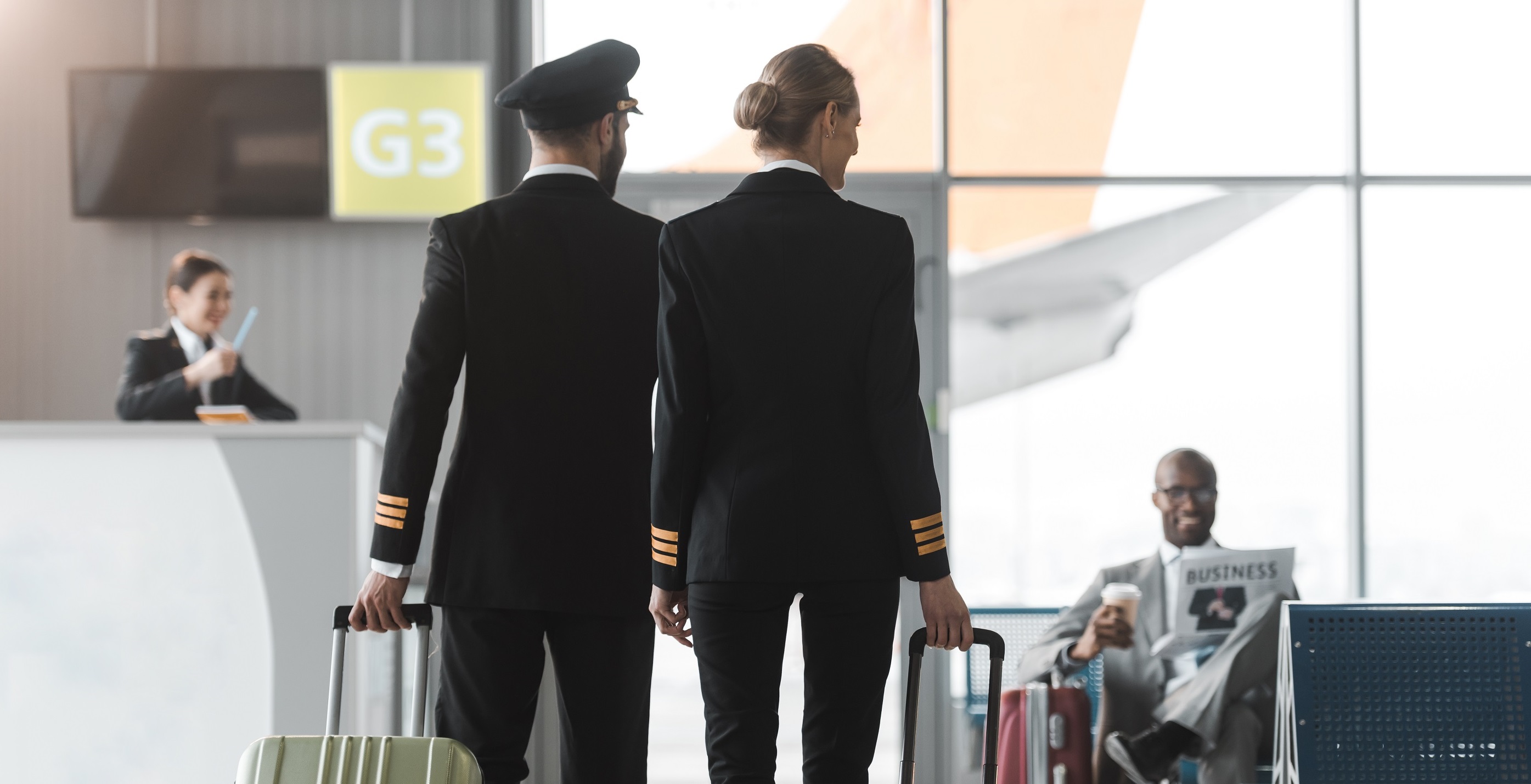 NetLine/Crew Interfaces | Lufthansa Systems